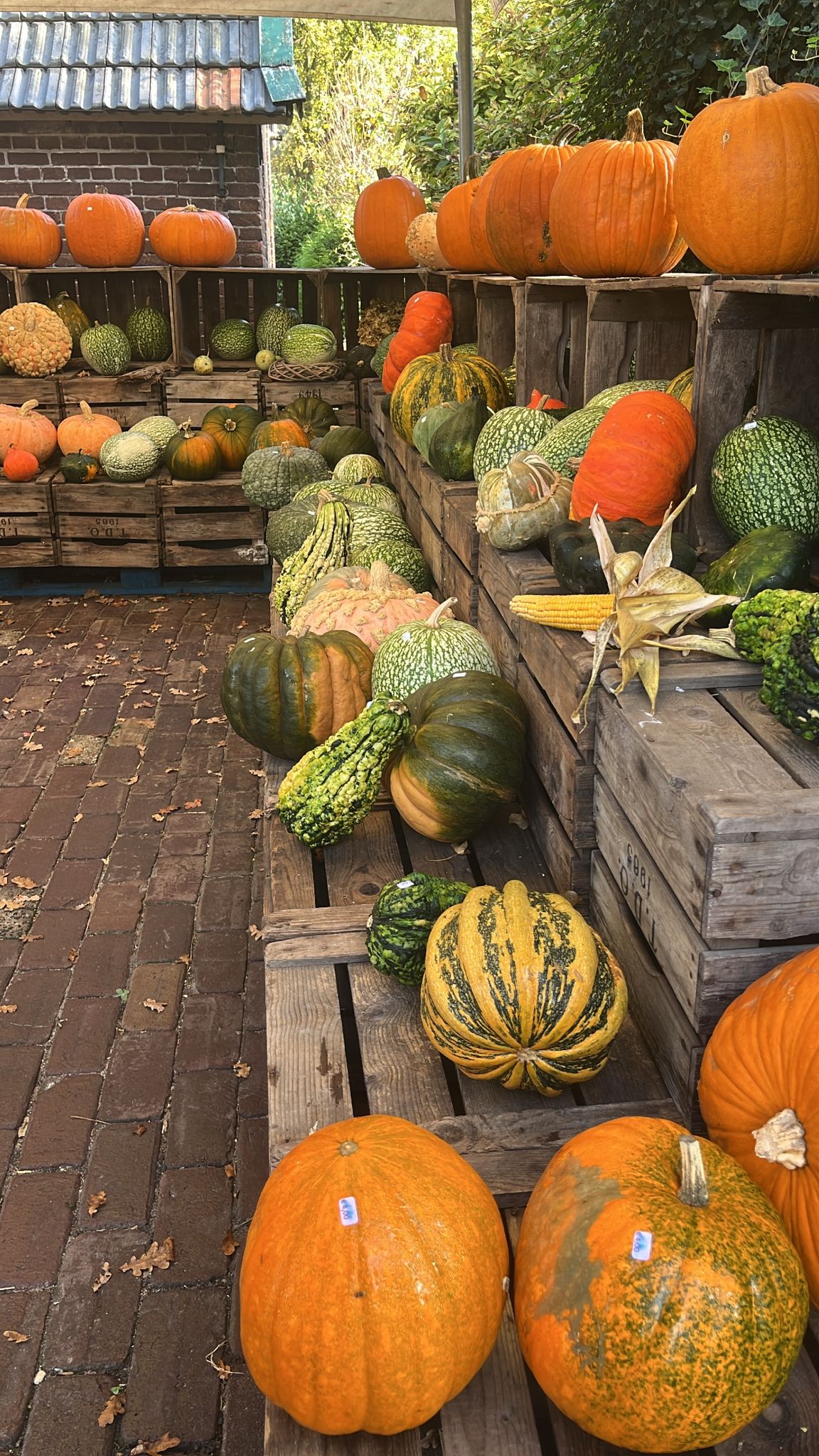 Hoeveel weet jij al over de Herfst? -Quiz - De Roek Vakantiebungalows Hoeveel weet jij al over de Herfst? -Quiz - De Roek Vakantiebungalows